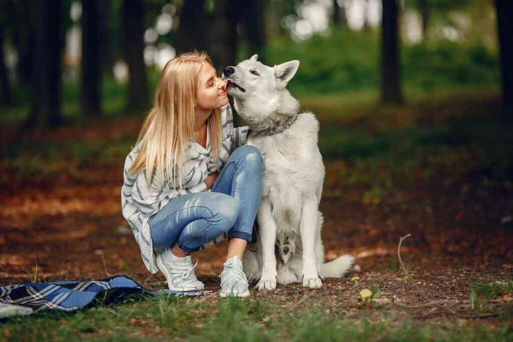 5 Reasons Why Your Puppy Bites Your Ears